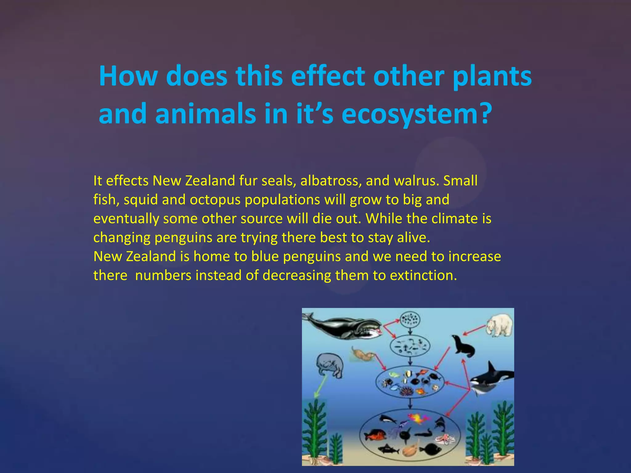 Save the blue penguins | PPTX