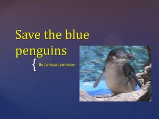 Save the blue penguins | PPTX