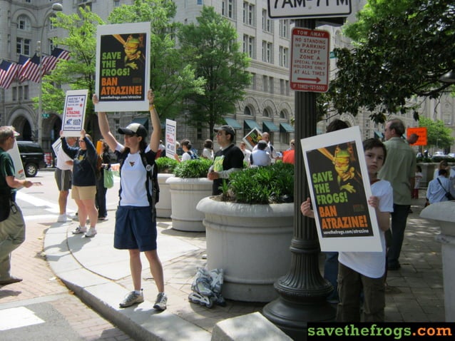 SAVE THE FROGS! - Translating Science Into Action | PPT