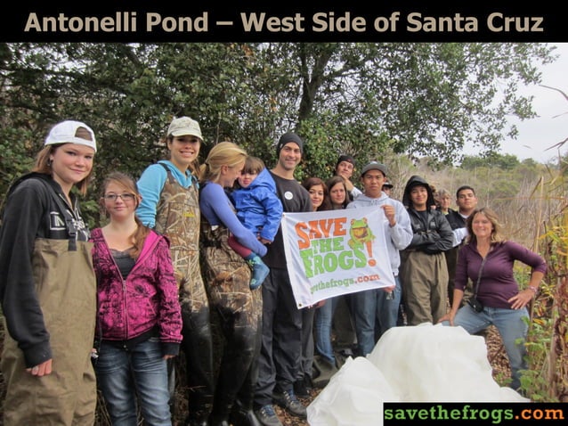 SAVE THE FROGS! - Translating Science Into Action | PPT