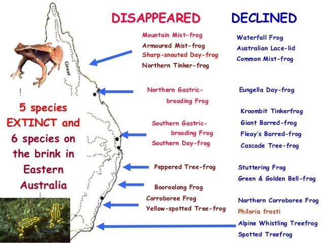 Save the Frogs Day, Professor Hero, Griffith University 2012