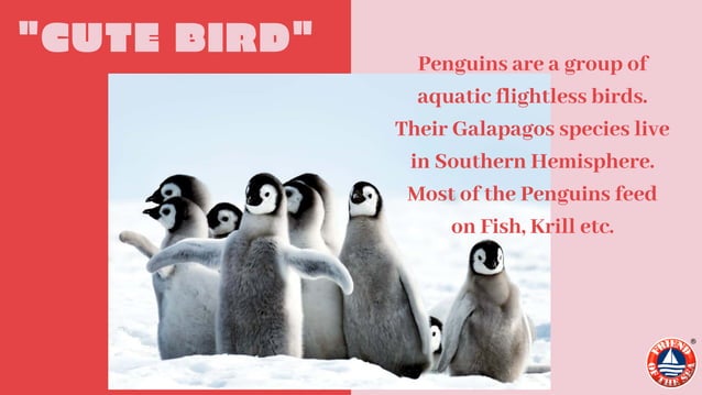 Save the Penguins-FOS | PDF