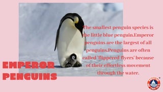 Save the Penguins-FOS | PDF