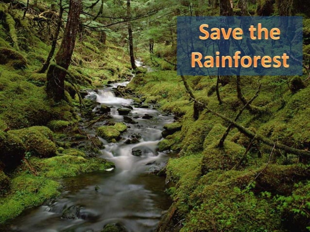 Save the rainforest sample | PPTX | Geography | Science