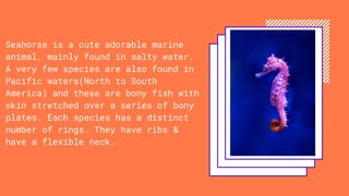 Protect the Seahorse-Marine Conservation | PDF