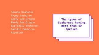Protect the Seahorse-Marine Conservation | PDF