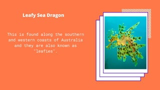 Protect the Seahorse-Marine Conservation | PDF