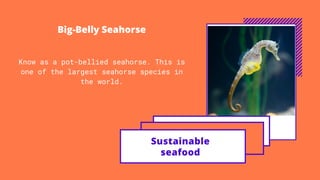 Protect the Seahorse-Marine Conservation | PDF