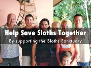 Save The Sloths!!! | PDF