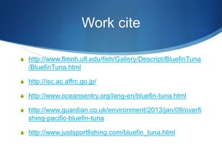 Save the tuna | PPTX | Geography | Science