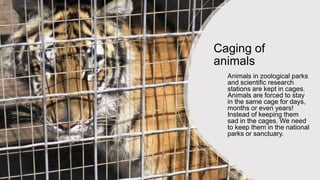 Save the wildlife | PPTX | Zoos & Aquariums | Attractions