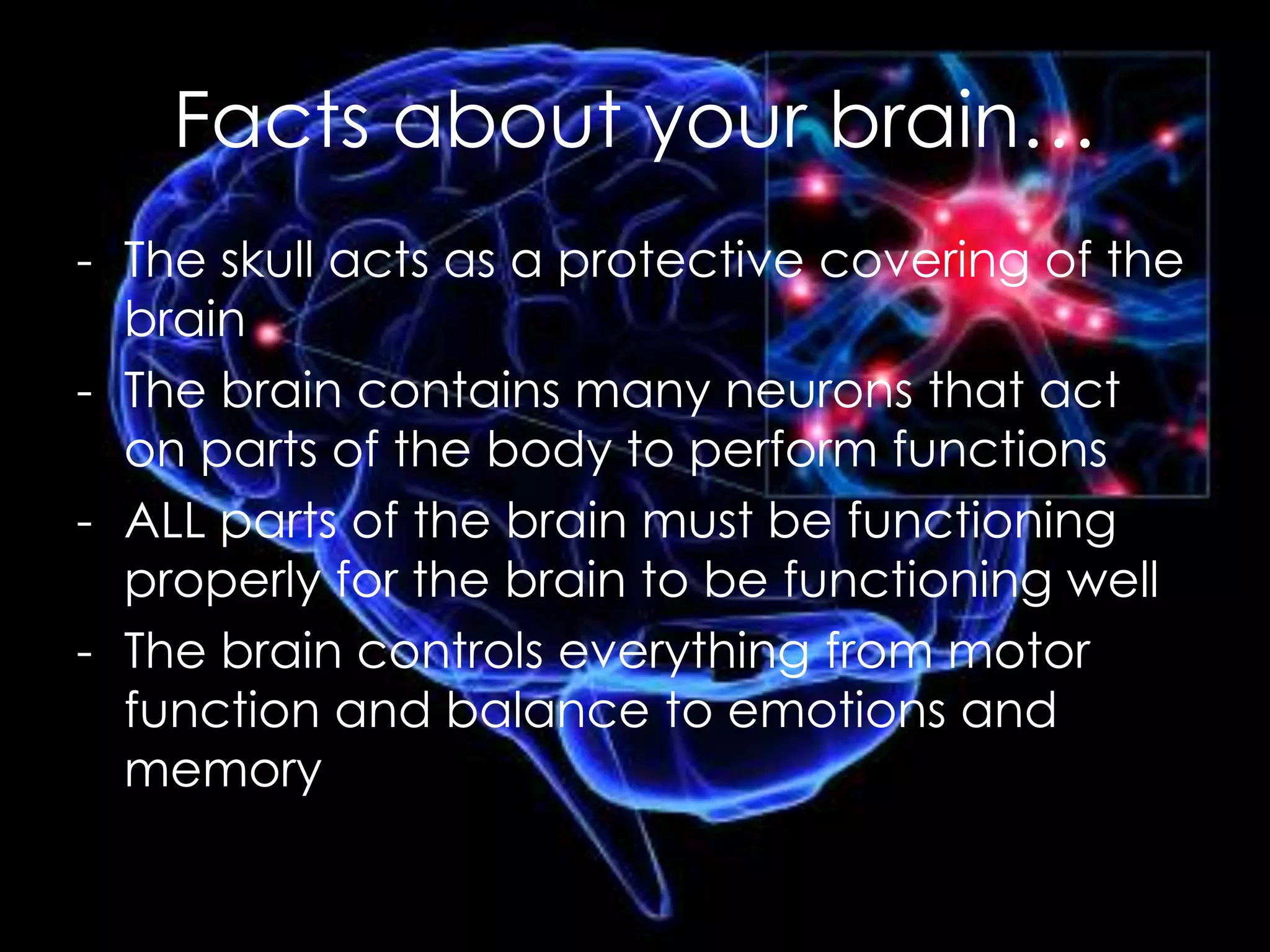 Concussion Awareness | PPTX