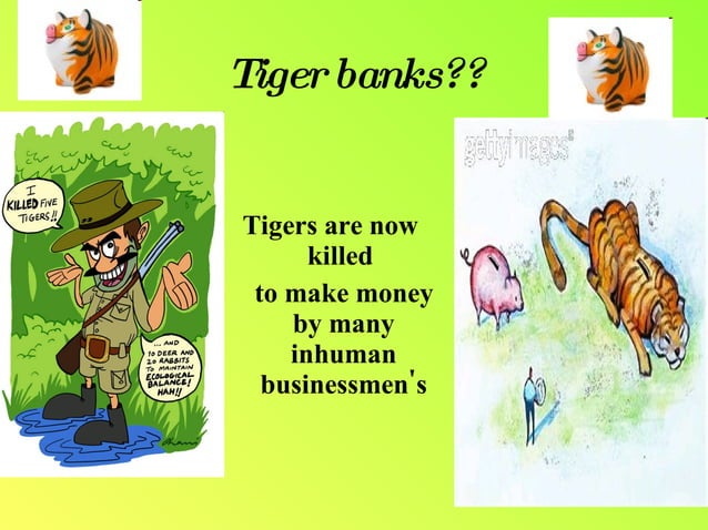 Save Tiger | PPT