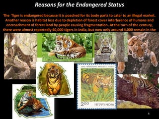 Save tiger | PPTX | Zoos & Aquariums | Attractions