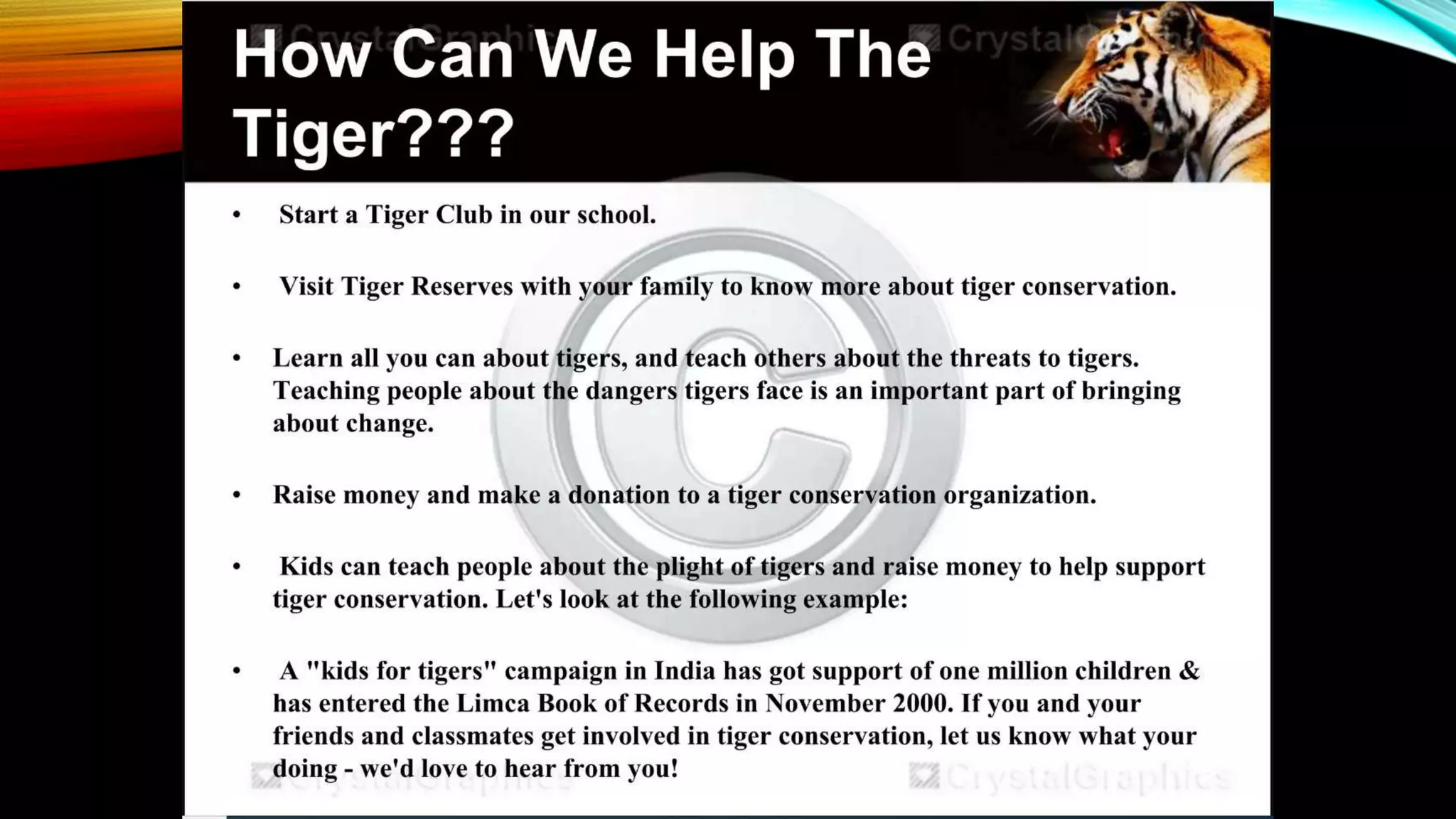 SAVE TIGER.pptx