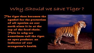 SAVE TIGER.pptx