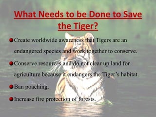 Save tiger.pdf