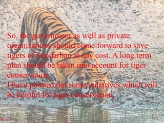 Save tigers | PPTX