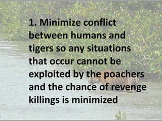 Save tigers | PPTX