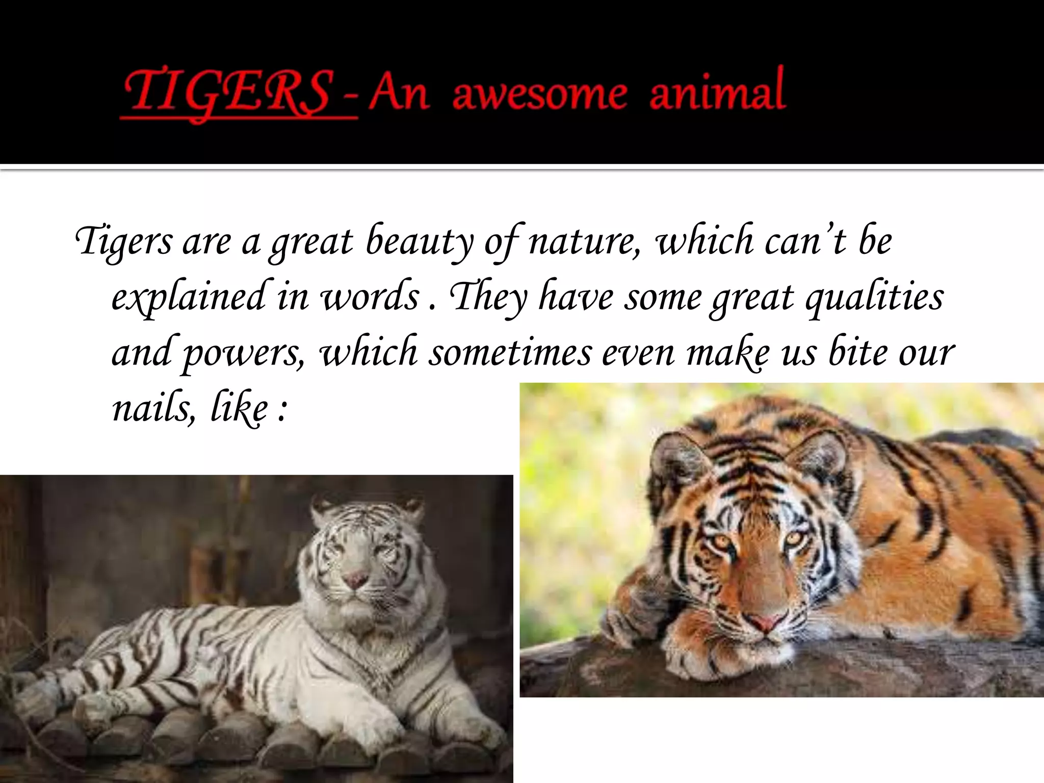 Save tigers | PPT