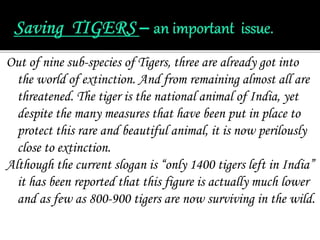 Save tigers | PPT