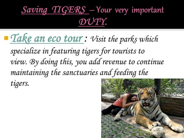 Save tigers | PPT