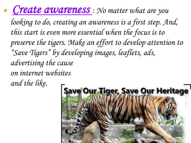 Save tigers | PPT