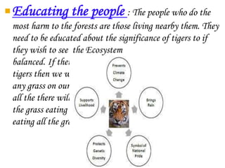 Save tigers | PPT