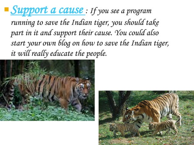 Save tigers | PPT