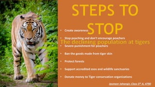 Save tigers | PPT