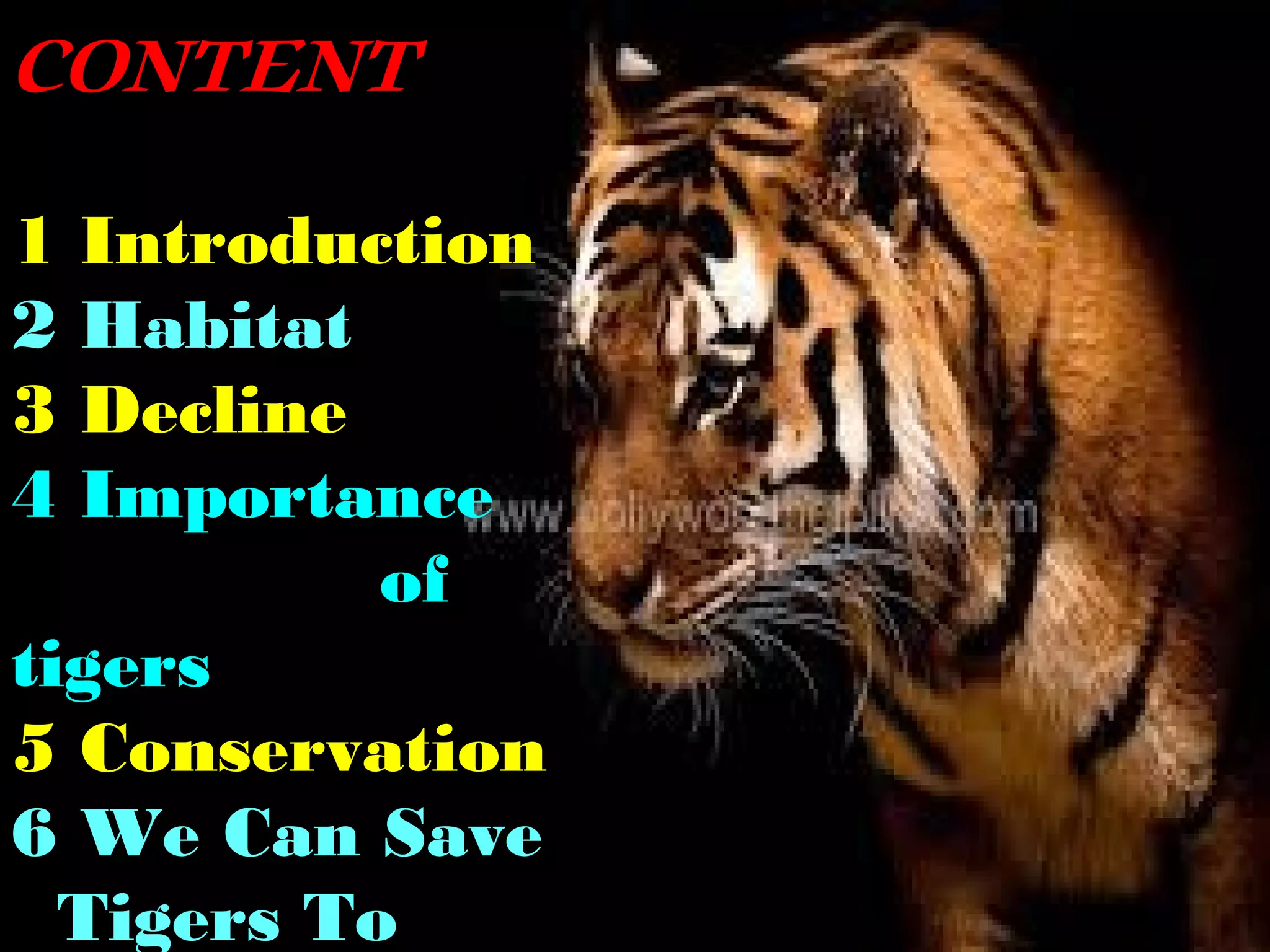 Save tigers by anurag singh | PPT