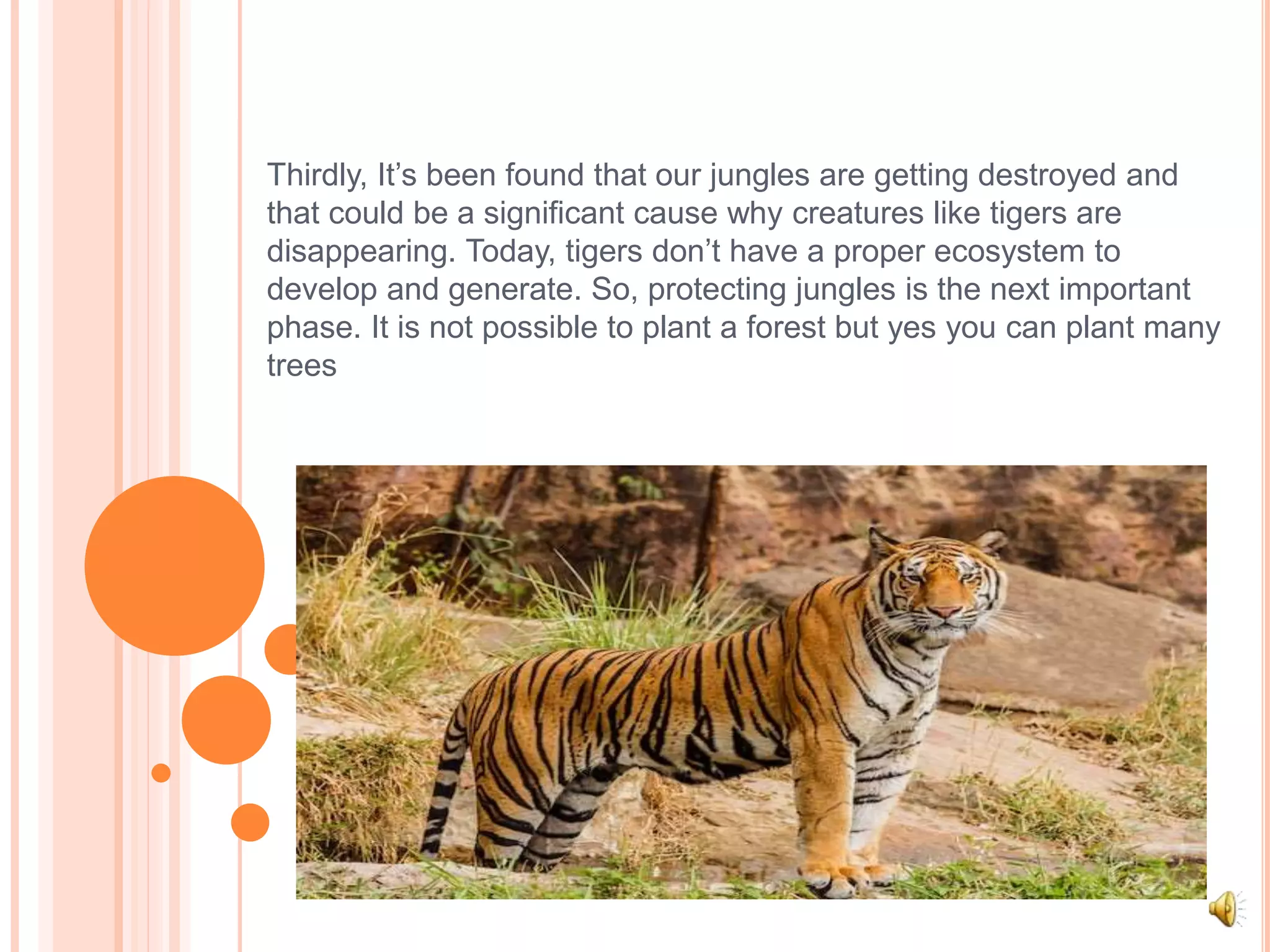 Save tigers ppt | PPTX