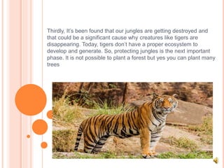 Save tigers ppt | PPTX