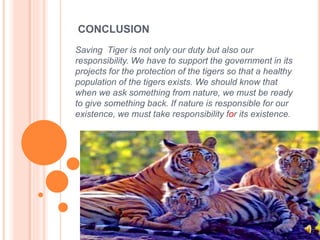 Save tigers ppt | PPTX