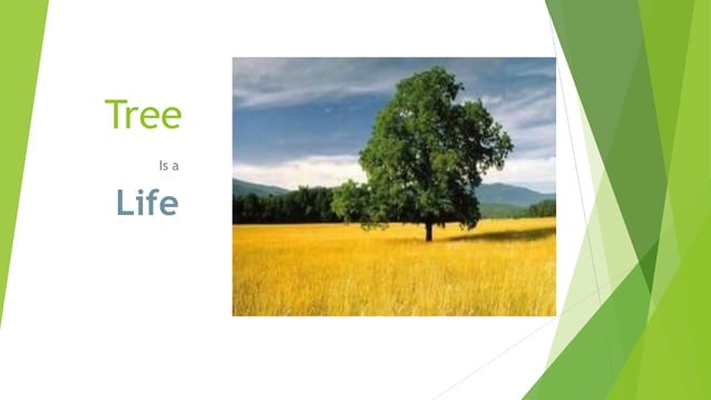 Save tree | PPTX