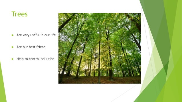 Save tree | PPTX | Gardening | Home & Garden