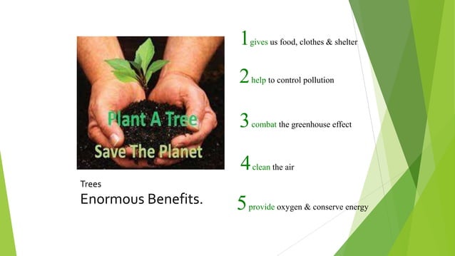 Save tree | PPTX