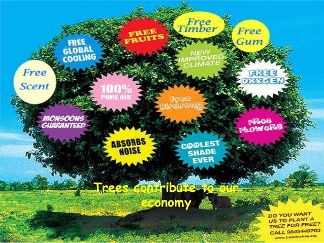 Save trees