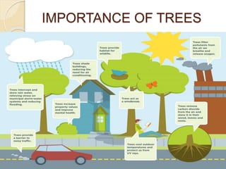 Save trees | PPTX