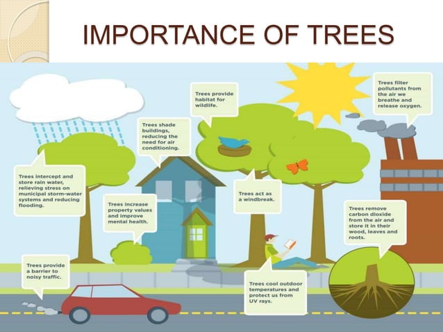 Save trees | PPTX | Environment | Science