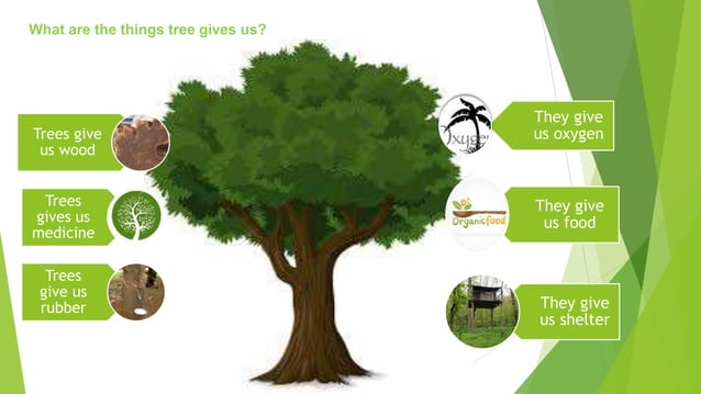 Save trees | PPTX