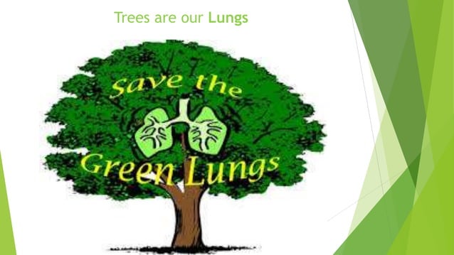 Save trees | PPTX