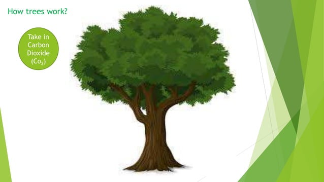 Save trees | PPTX