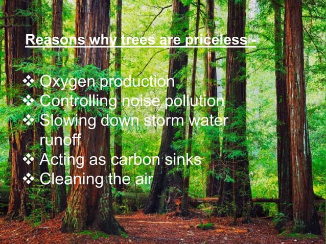 save trees and save life-190731090114.pptx | Free Download