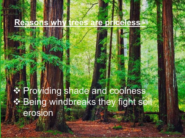 save trees and save life-190731090114.pptx