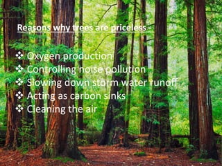 Save trees | PPTX