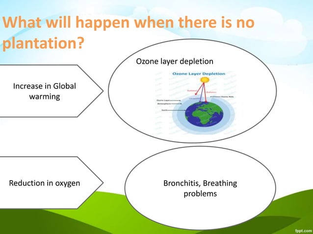 save trees _Presentation_environment.pptx | Environment | Science