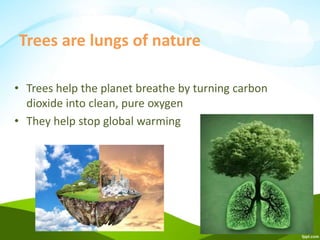 save trees _Presentation_environment.pptx