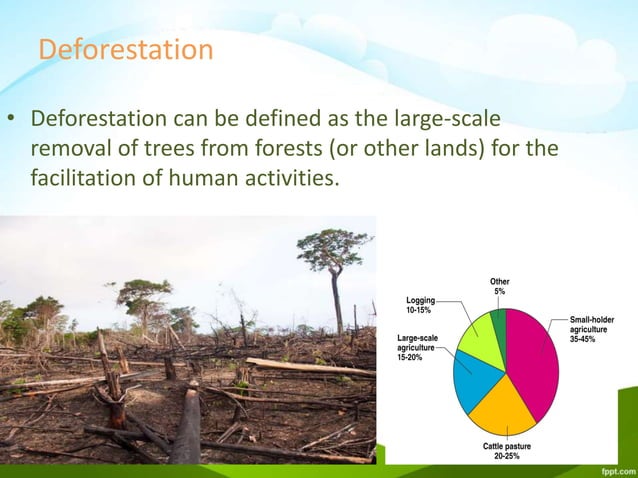 save trees _Presentation_environment.pptx | Environment | Science