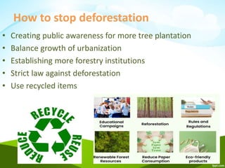 save trees _Presentation_environment.pptx